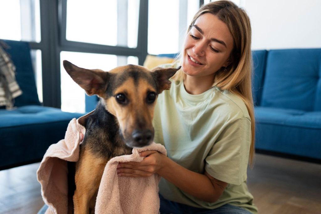 16 Animais Domésticos: Bonitos, Fofos e Fáceis de Cuidar
