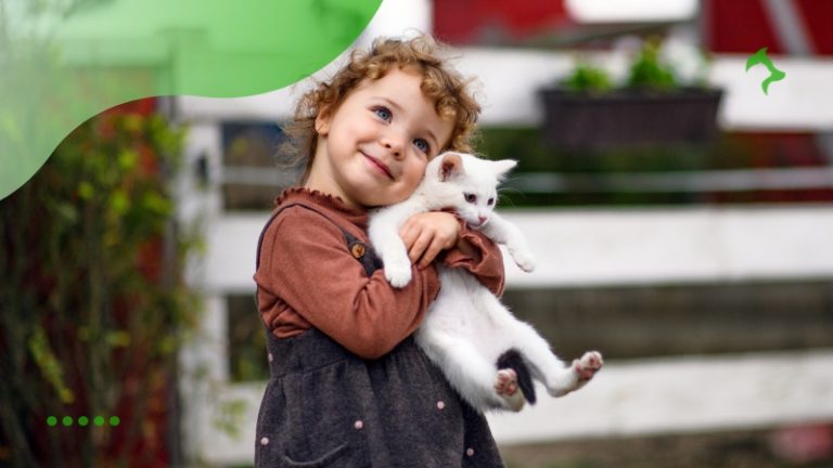 Raças De Gatos Ideais Para Famílias: Descubra As Melhores!